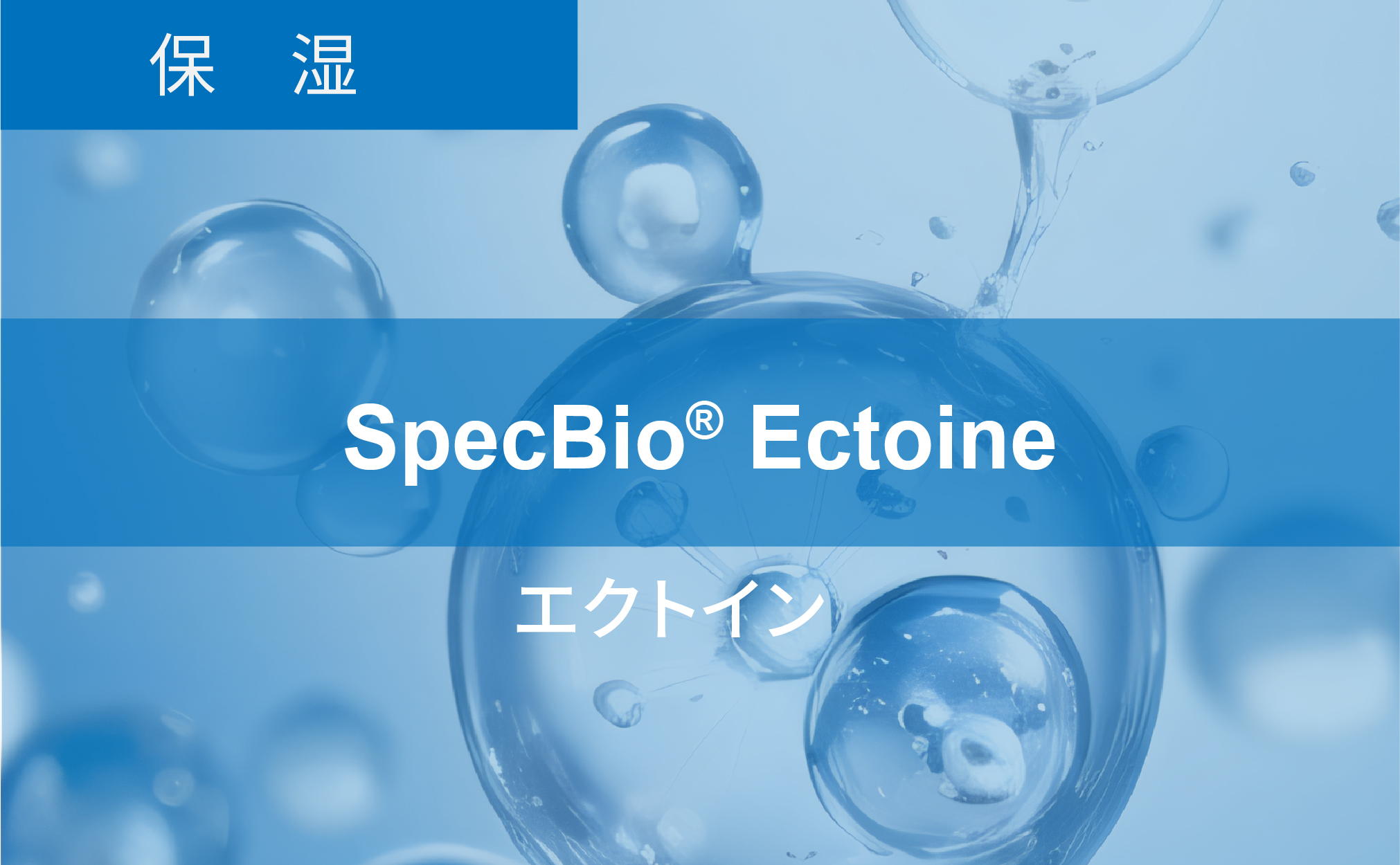 SpecBio® Ectoine（エクトイン） | スペックケムバイオテクノロジー日本株式会社